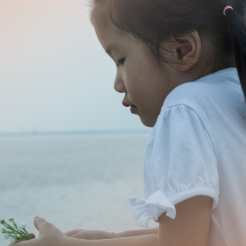 Monkey Minds: Help Your Child Recognise Their Inner Chimp Feelings ...